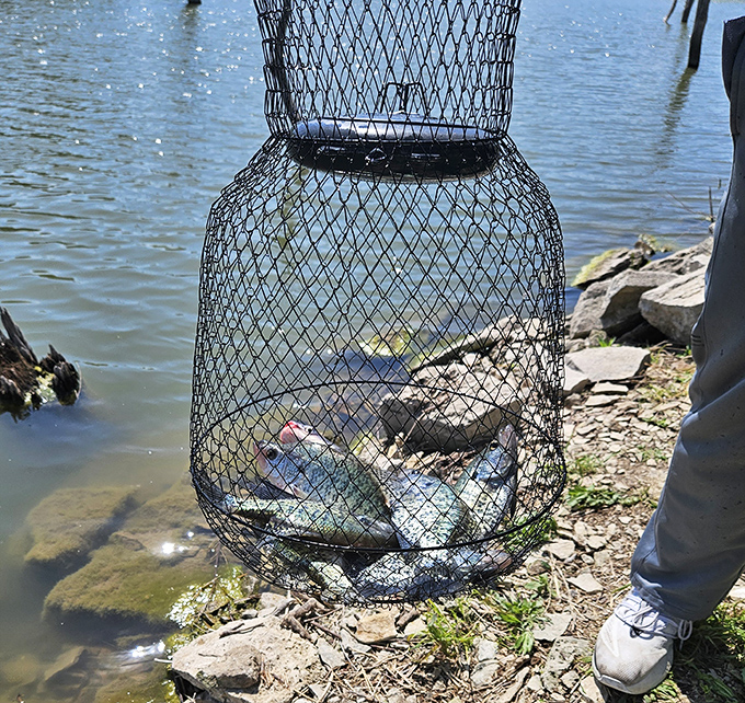 A successful day on Milford Lake, measured in scales and smiles. The fishing here isn't just good&mdash;it's the stuff of family legends.