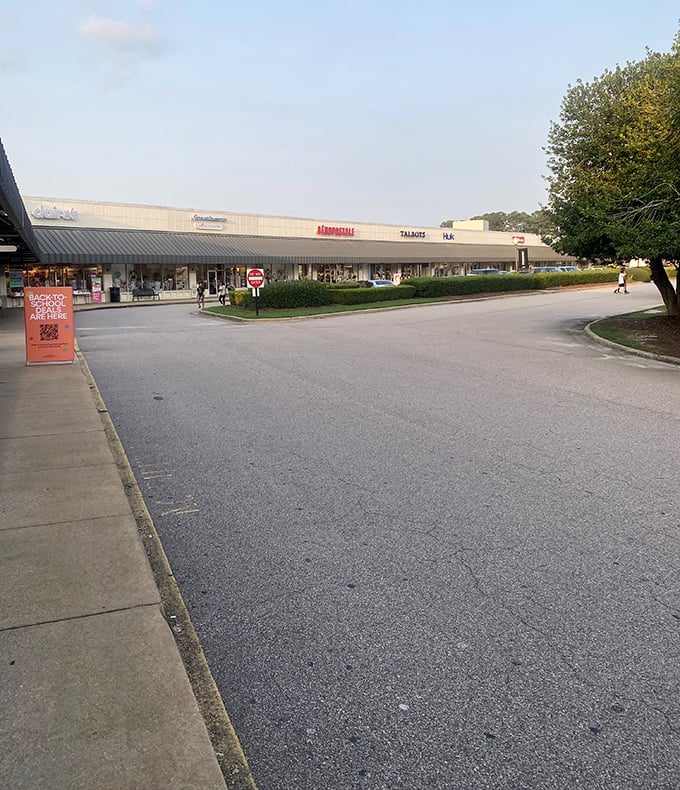 The calm before the shopping storm. These peaceful walkways will soon fill with determined bargain hunters clutching coffee and empty shopping bags.
