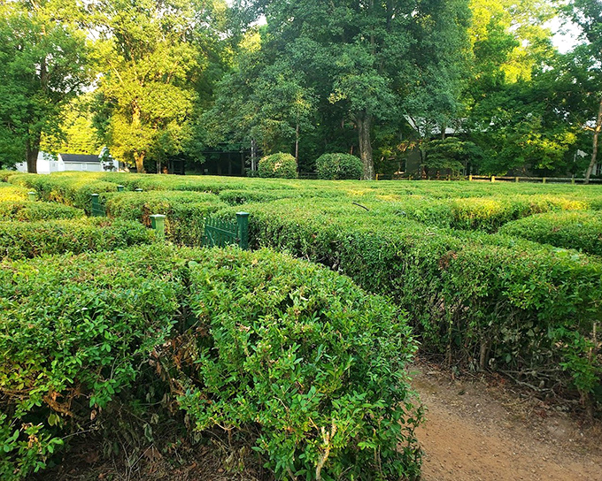 Winding paths between emerald walls create nature's own meditation app, no WiFi required for this spiritual download.