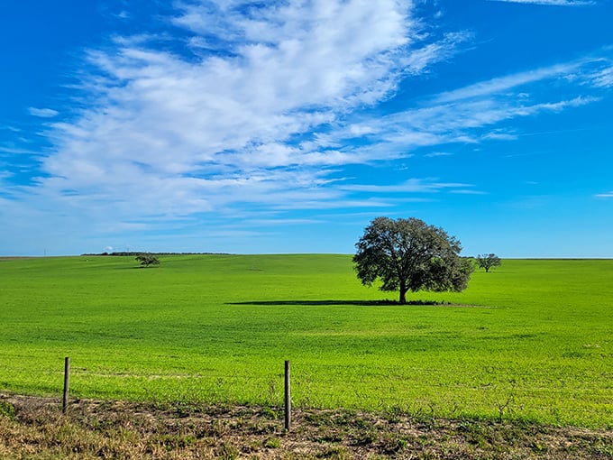 Rolling green fields stretch toward the horizon, offering a visual feast that costs absolutely nothing to enjoy.