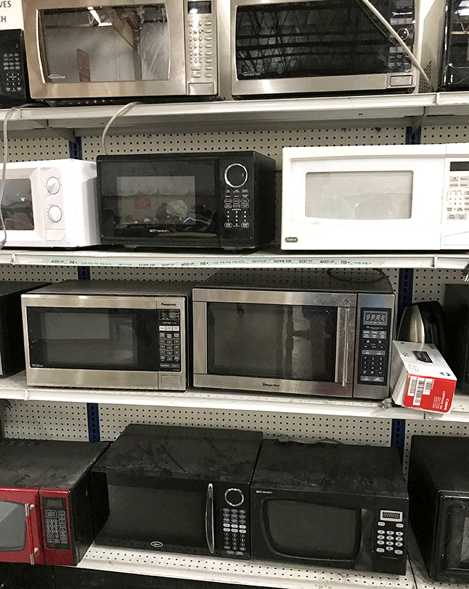 The microwave museum displays its technological timeline. From boxy beige relics to sleek stainless models, all priced less than a fancy dinner out.