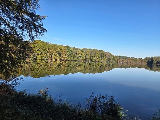 Mirror, mirror on the lake&mdash;who's the fairest state park of all? Spring Lake's glass-like surface creates perfect reflections that would make a smartphone camera weep.