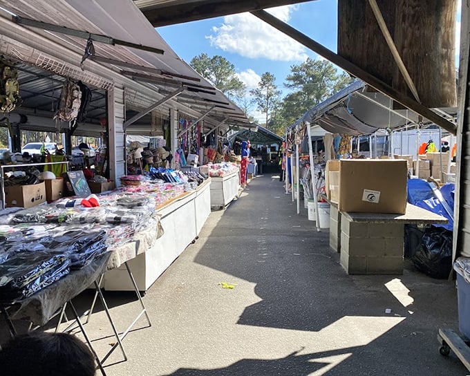 Sunlight streams through the covered walkways, illuminating rows of vendor stalls like a bargain-hunter's cathedral.