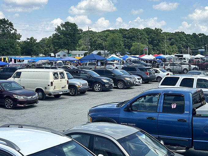 Weekend parking that looks like a tailgate party, except everyone's here for deals instead of touchdowns and hot dogs.
