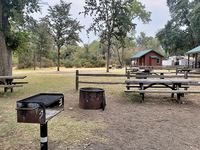 Rustic camping perfection with fire pits and picnic tables – just add friends, marshmallows, and stories that improve with each telling.