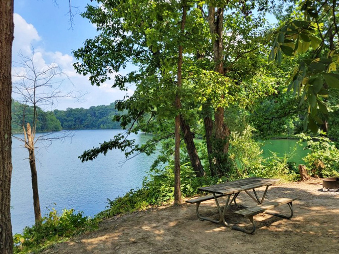 The best restaurant view in Ohio doesn't require reservations&mdash;just a picnic basket and the willingness to share with occasional squirrels.