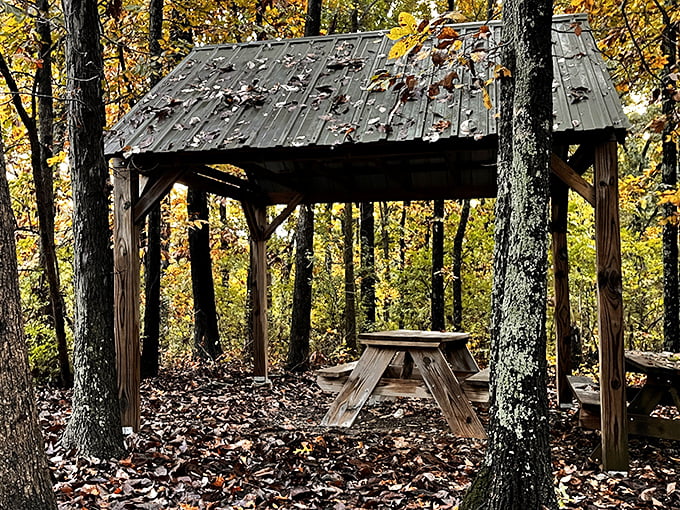 This rustic picnic shelter, surrounded by golden autumn leaves, practically begs for a thermos of hot cider and a homemade sandwich.