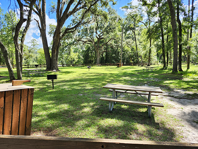 Picnic tables scattered beneath ancient oaks &ndash; because after swimming in paradise, you'll need somewhere to unwrap that sandwich you remembered to pack.