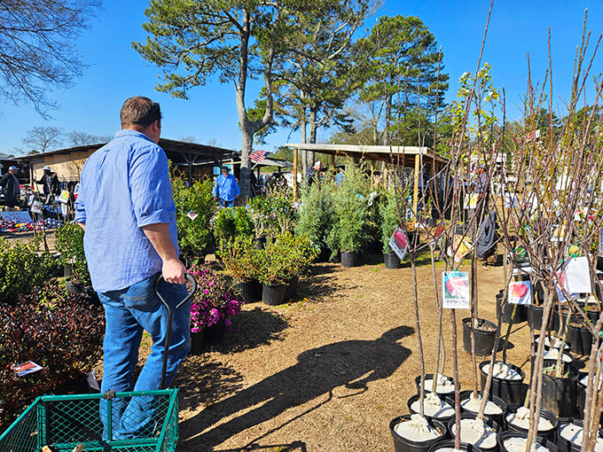 The plant section: where people with black thumbs convince themselves that this time, things will be different. That Japanese maple is practically begging to go home with someone.