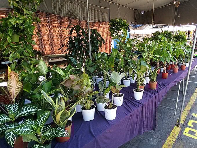 Plant parents, beware! This green temptation station will have you explaining to your spouse why the car is suddenly a mobile jungle.