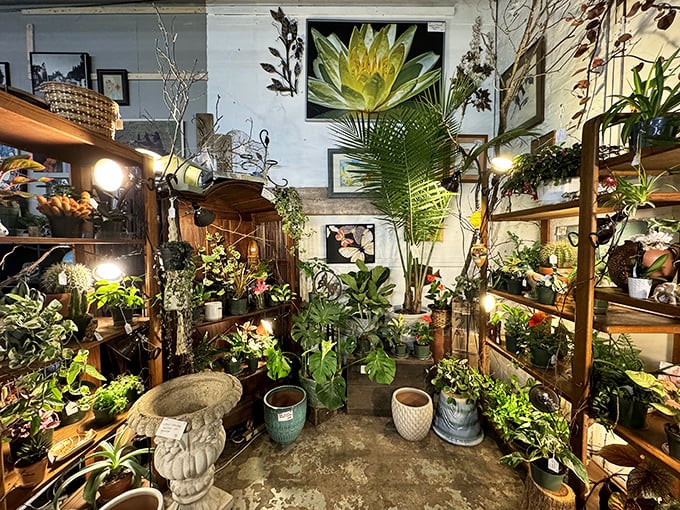 A jungle of potted greenery proves that plant parenting isn't just a millennial obsession&mdash;it's been bringing life to homes for generations.