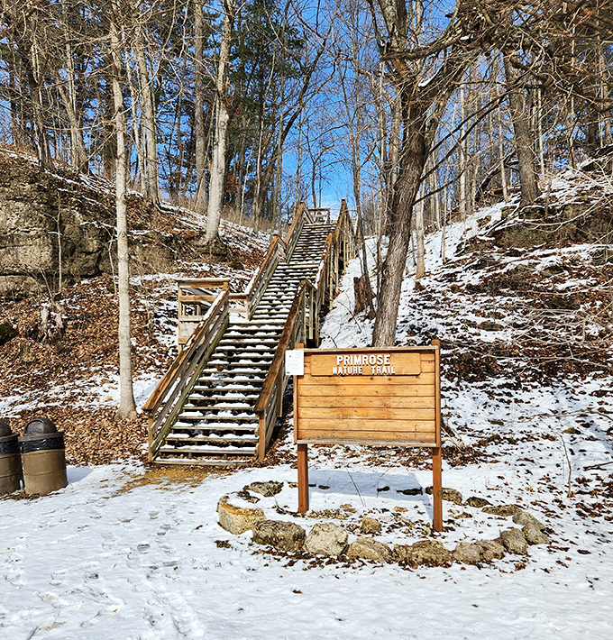The Primrose Nature Trail sign stands as both invitation and challenge&mdash;those stairs aren't for the faint of heart or weak of knee.