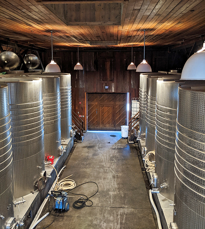The gleaming stainless steel tanks stand like sentinels of science in this working winery, where temperature control is an art form.