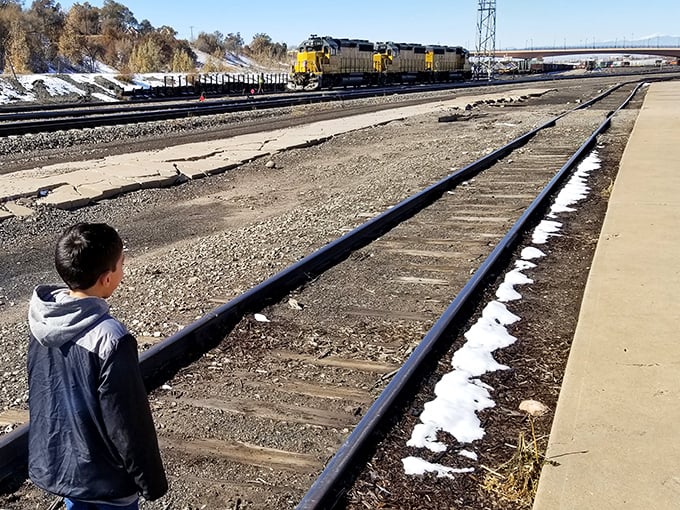 There's something poetic about watching modern trains roll past on the same paths that built the American West.