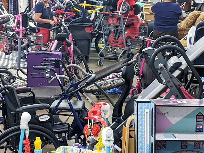 The bicycle graveyard meets toy explosion – where childhood dreams and adult hobbies collide in a beautiful jumble of potential.