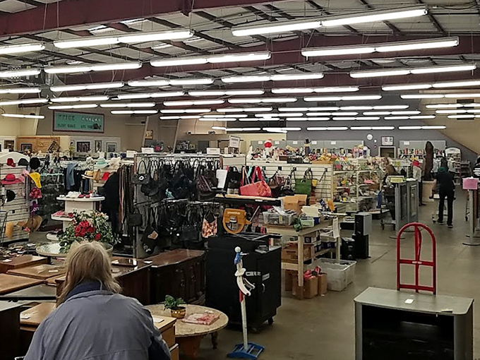 A panoramic view of the thrift store's treasure landscape, where clothing racks meet furniture finds. Shoppers navigate this well-organized maze of possibilities, each aisle promising unexpected discoveries.