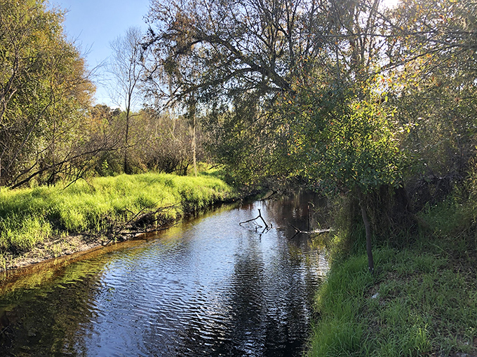 A peaceful creek winds through the property, offering a serene contrast to the metallic magnificence of the castle. Nature's moat, if you will.