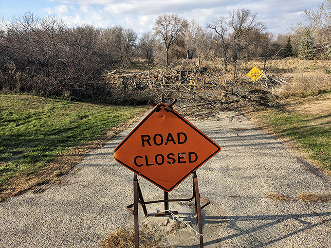 Nature occasionally says "not today" with fallen trees, reminding us that even paradise takes maintenance breaks sometimes.