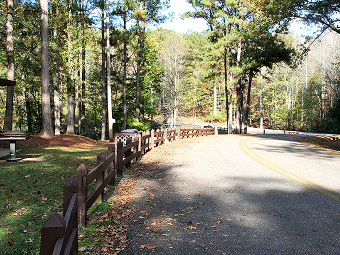 The road less traveled? Not exactly, but certainly worth the journey. This winding park entrance sets the stage for the natural wonders waiting beyond the tree line.