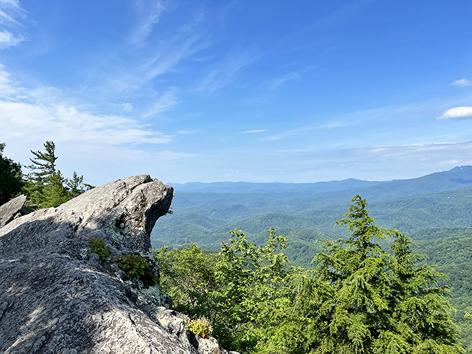 Standing at this overlook feels like you've discovered a view that should require more effort to reach. Nature showing off again.