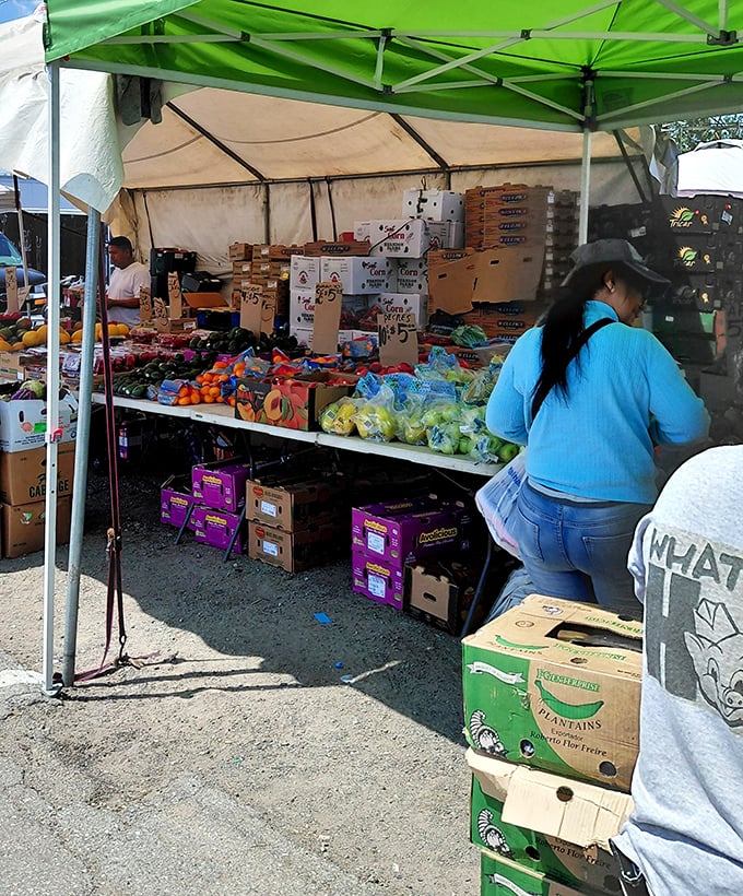 Fresh produce mingles with packaged goods under a simple tent. Grocery shopping with flea market flair is surprisingly satisfying.
