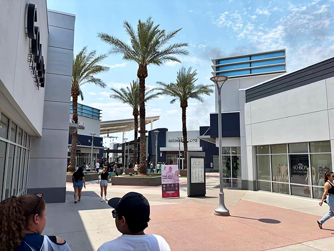 Desert shopping plazas like this one understand the importance of strategic palm tree placement for survival.
