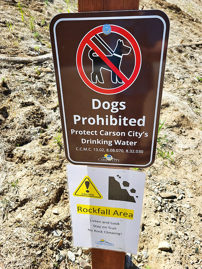 The universal sign for "your furry friend must stay home." Protecting drinking water trumps Fido's adventure plans, while the rockfall warning adds extra drama.