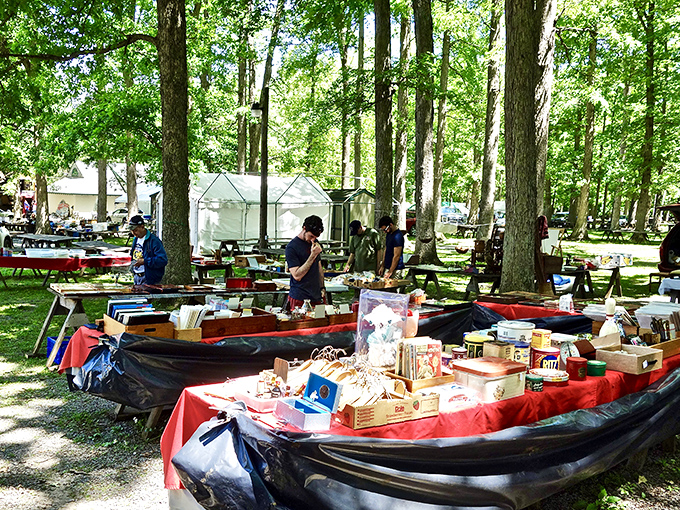 Beneath a cathedral of leaves, shoppers browse tables where books, records, and ephemera create a paper trail through American history.