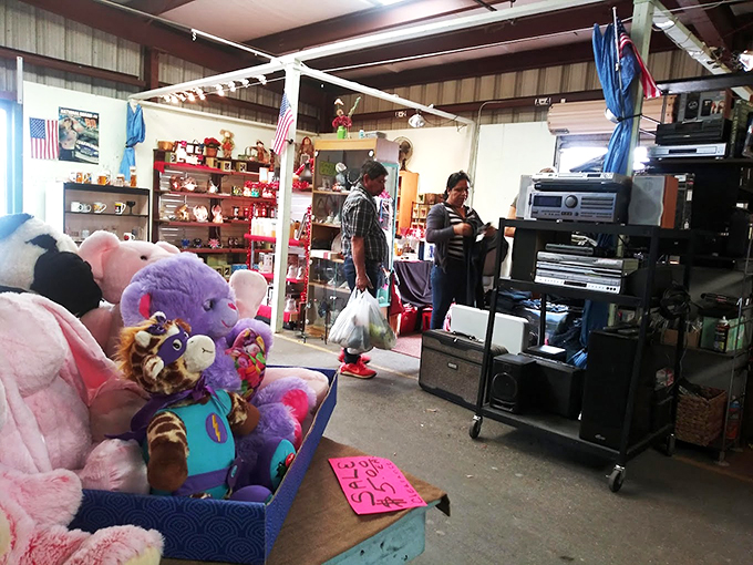 Stuffed animal adoption center where plush creatures patiently wait for forever homes, their button eyes silently pleading, "Take me home!"