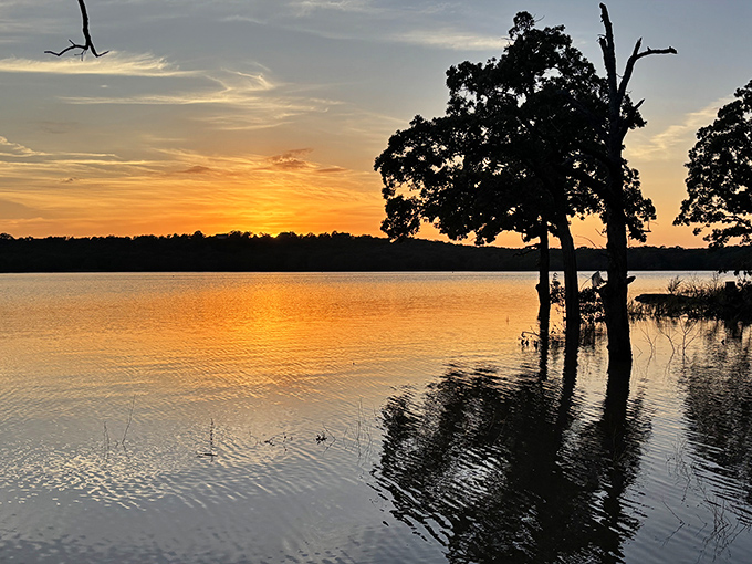 Nature's nightly light show doesn't require tickets or reservations &ndash; just a good spot and the wisdom to put away your phone.