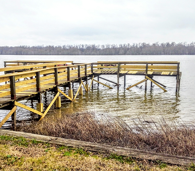 Even in winter, Lake Chicot's fishing piers stand ready for the dedicated angler. Fish are still home, they're just wearing their winter scales.