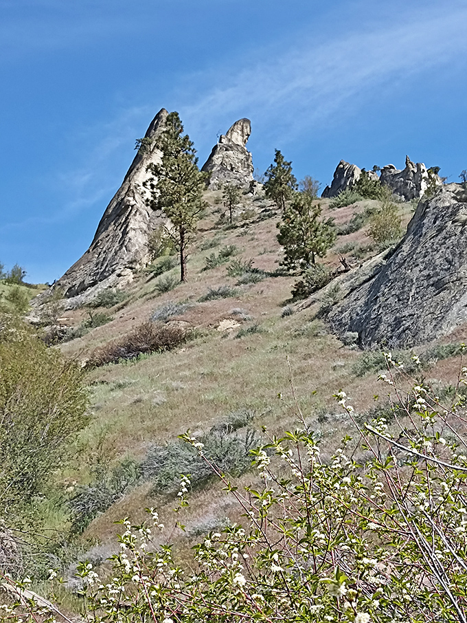 Nature's stairmaster awaits! These pinnacles offer a vertical challenge that makes your gym's climbing wall look like amateur hour. 