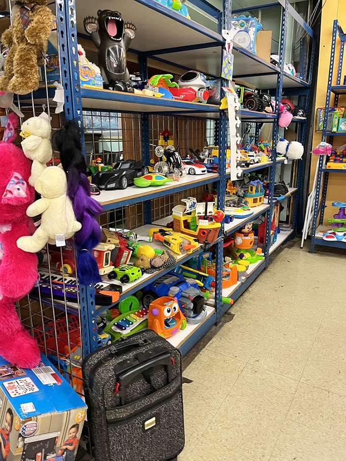 Toy paradise! Where childhood memories are stacked floor to ceiling, and yesterday's playthings await tomorrow's imagination.