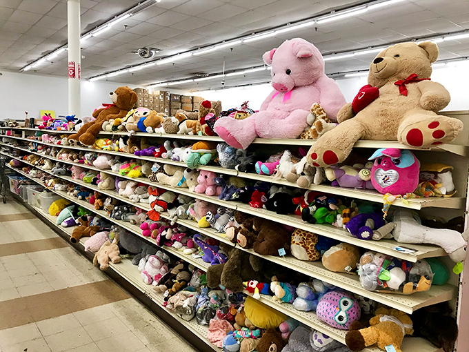 Stuffed animal mountain: where forgotten teddy bears find new homes and parents discover that $3 can buy more childhood joy than any fancy toy store.