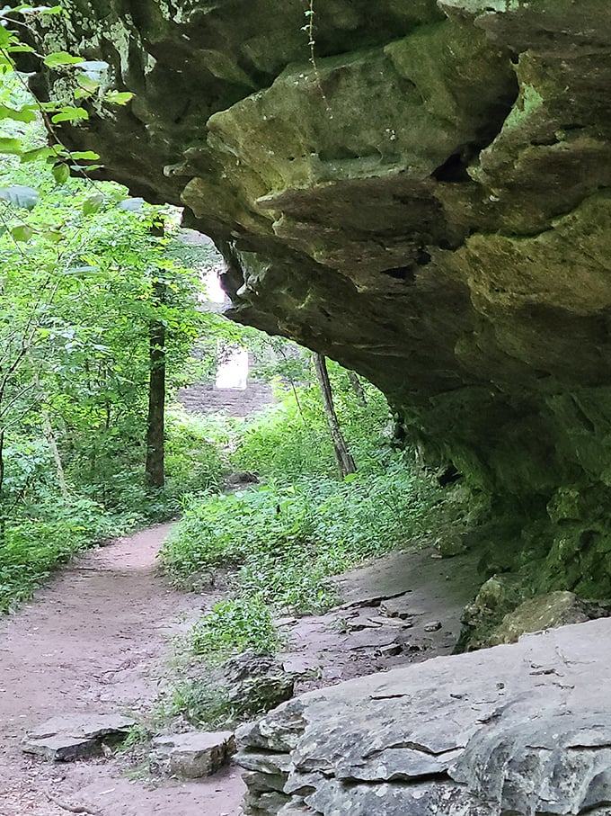 Nature's cathedral &ndash; this limestone overhang creates a sacred space where sunlight filters through leaves like stained glass windows.