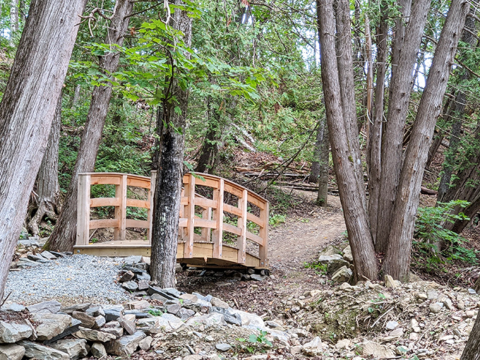 Woodland trails offer natural therapy without the copay. This handcrafted bridge connects you to the version of yourself that remembers how to breathe.