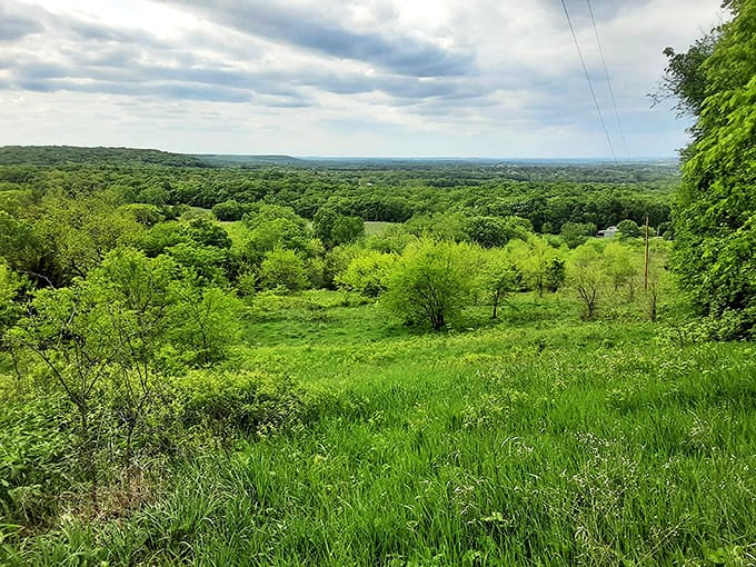 Spring transforms the Flint Hills into a verdant paradise where every shade of green competes for your attention.