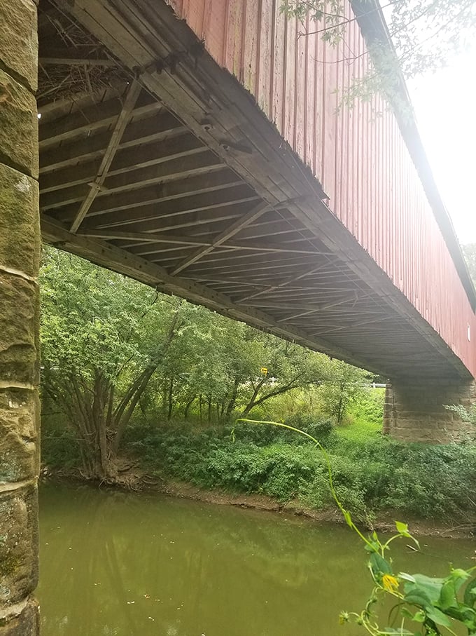 From below, you appreciate the engineering marvel—stone foundations supporting wooden artistry in a marriage that's lasted longer than most Hollywood couples.