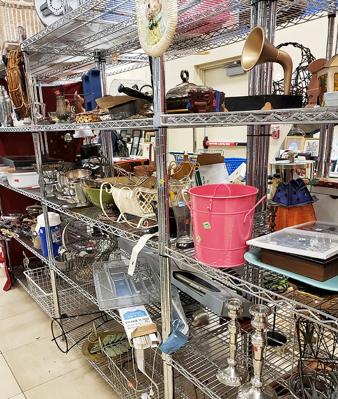 Metal shelves of organized chaos&mdash;where vintage candlesticks meet modern buckets in a beautiful retail democracy of secondhand possibilities.