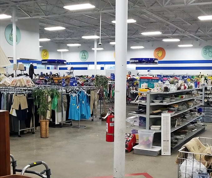 The store's clever layout transforms what could be chaos into a surprisingly navigable sea of secondhand possibilities.