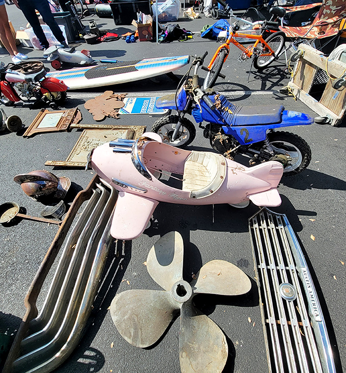 From vintage propellers to dirt bikes, the unexpected awaits &ndash; like a mechanical petting zoo where everything potentially has a price tag.