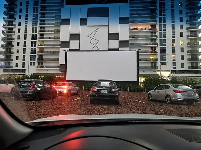 The view from inside your car transforms an ordinary parking lot into front-row seats at cinema's most democratic venue.