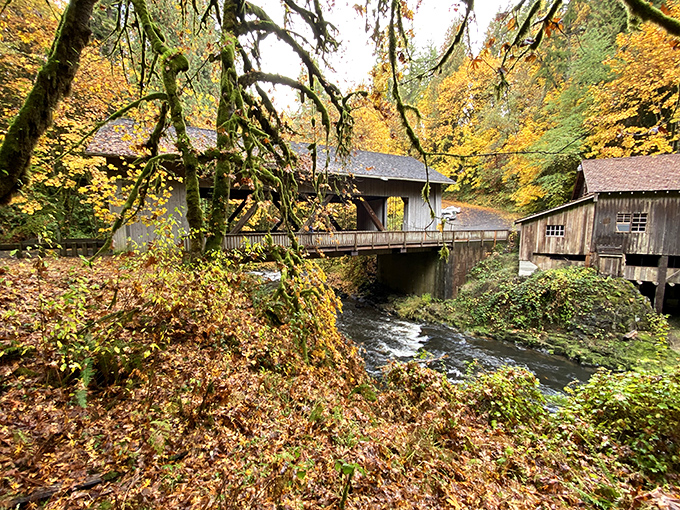 Fall foliage creates nature's perfect frame for the bridge, as if the trees decided to dress up for their annual portrait.
