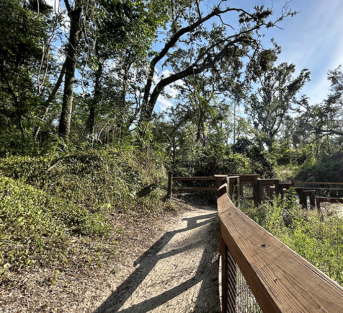 The winding boardwalk path feels like entering a secret garden, where each step brings you closer to the main attraction.