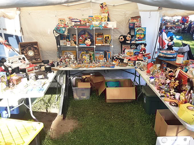 Mickey's garage sale! This treasure trove of Disney memorabilia proves one collector's downsizing is another's magical opportunity.