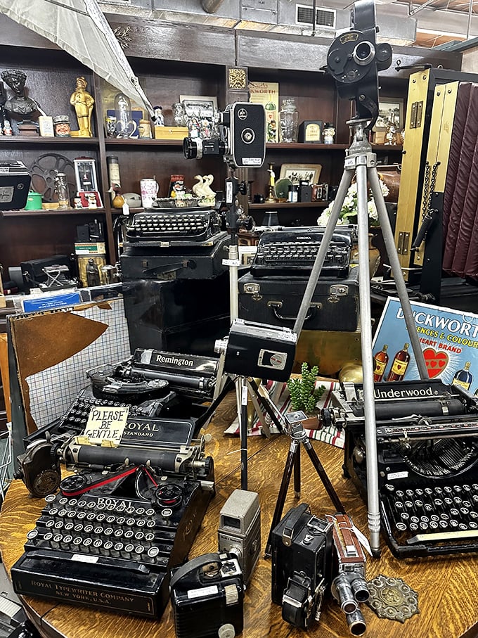 Typewriters and cameras frozen in time, waiting for someone who appreciates the satisfying click of actual mechanical buttons.