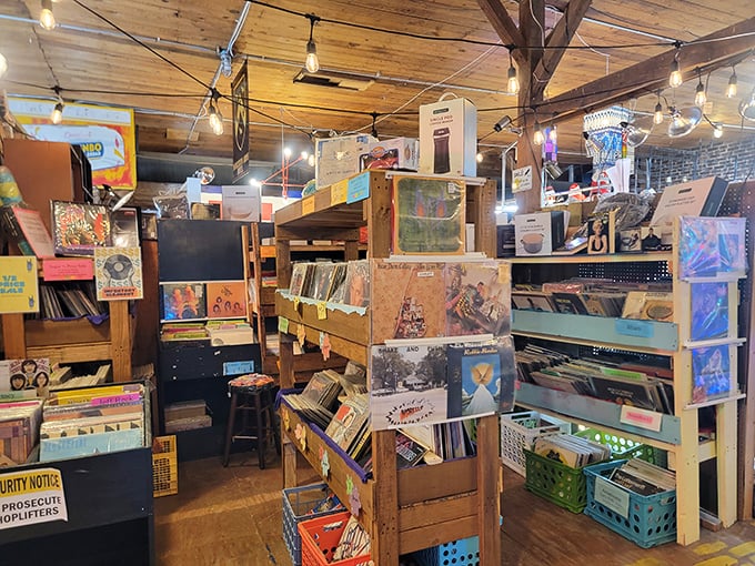 Vinyl heaven where album covers are the stained glass windows. Music lovers worship at these wooden altars, fingers flipping through decades of sonic history.