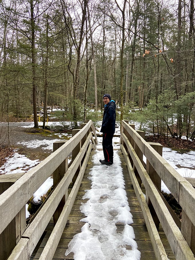 Winter transforms Reeds Gap into a hushed wonderland where footsteps on snow-covered bridges become the only soundtrack you need.