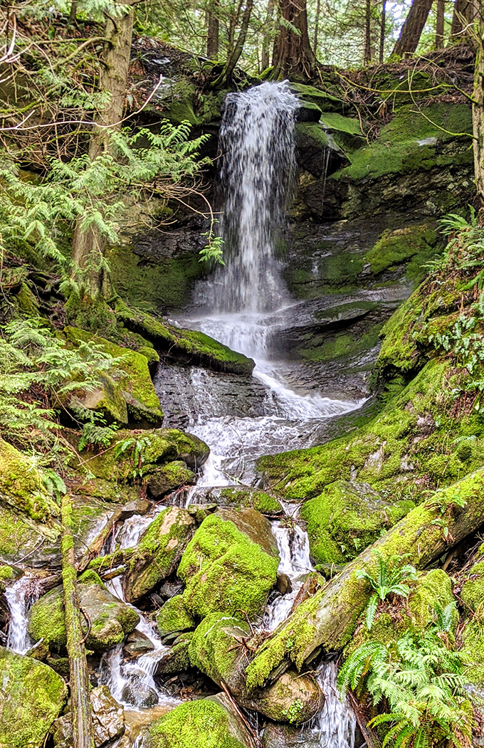 This hidden waterfall cascades through emerald moss, creating a scene so enchanting you'll check for fairy wings behind every fern.
