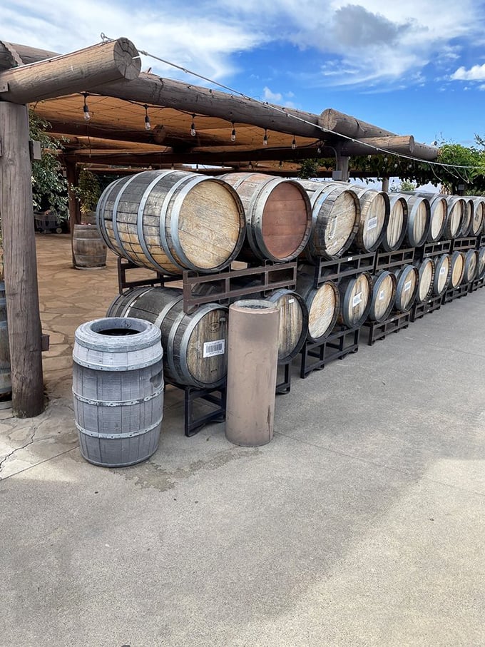 Wine's patient guardians: These oak barrels quietly transform grape juice into liquid poetry, one slow breath at a time.